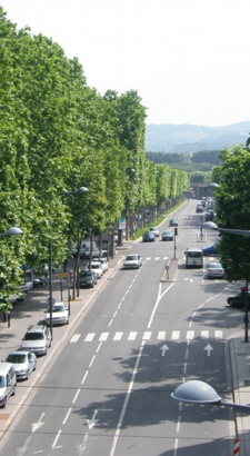L'Arbre urbain : Outils et méthodes... - Plante & Cité